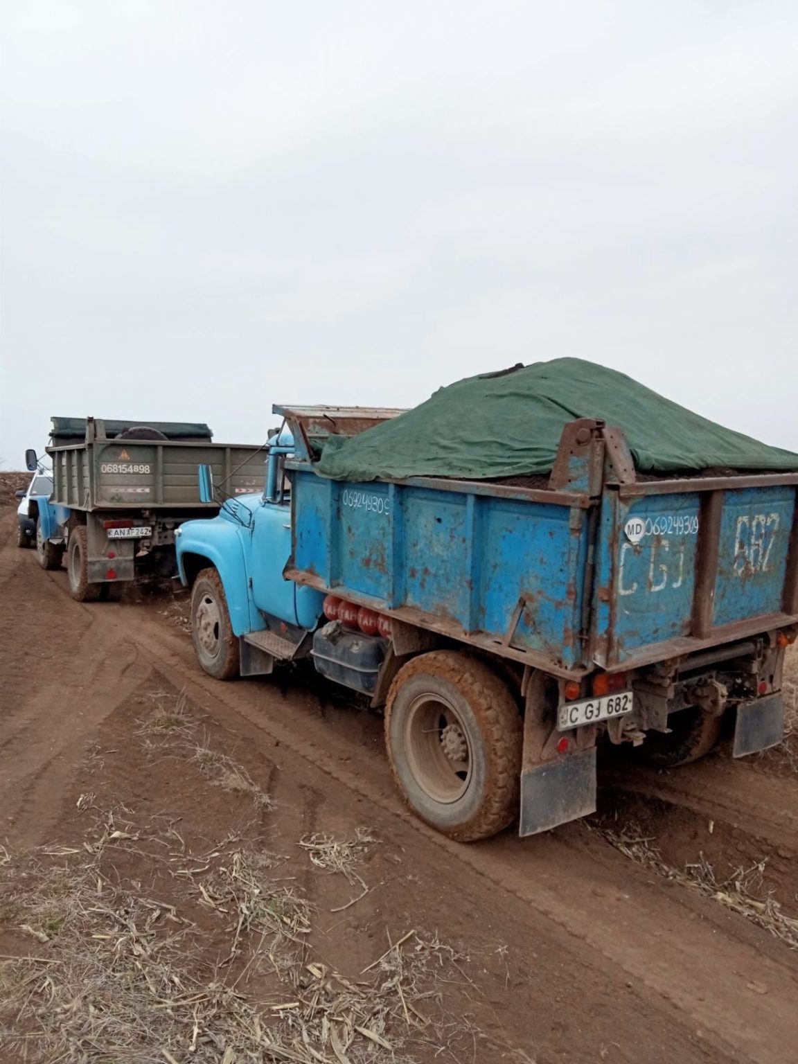 Atentat la cernoziom - Est Curier