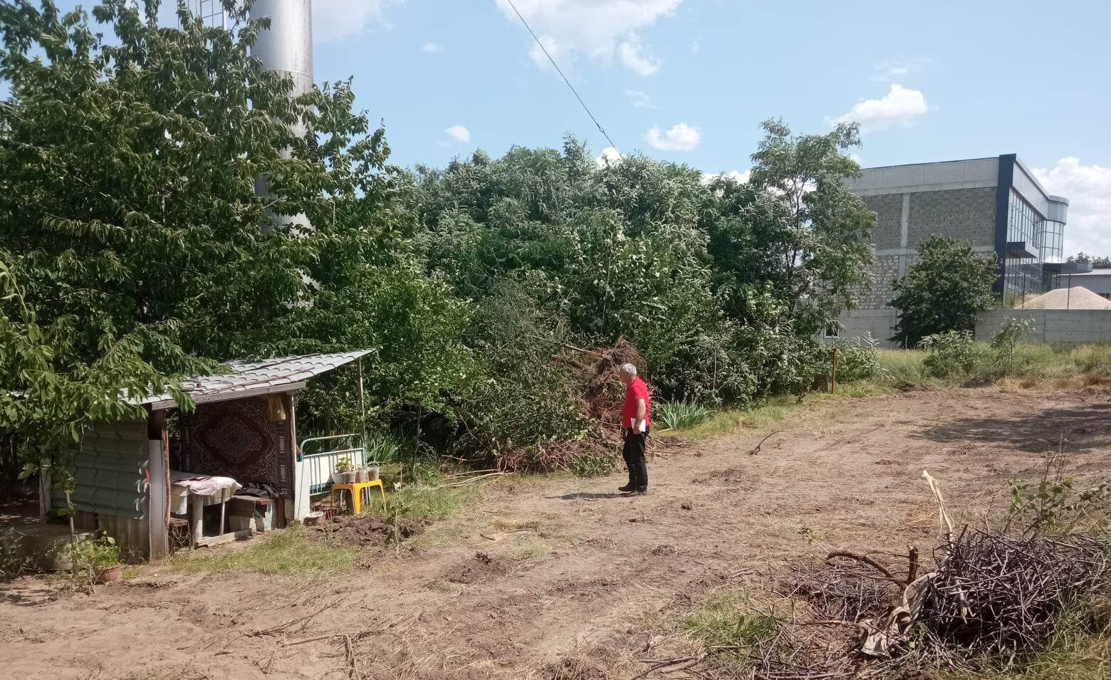 IPM Criuleni a documentat defrișarea ilegală a 21 de arbori la Pașcani ...